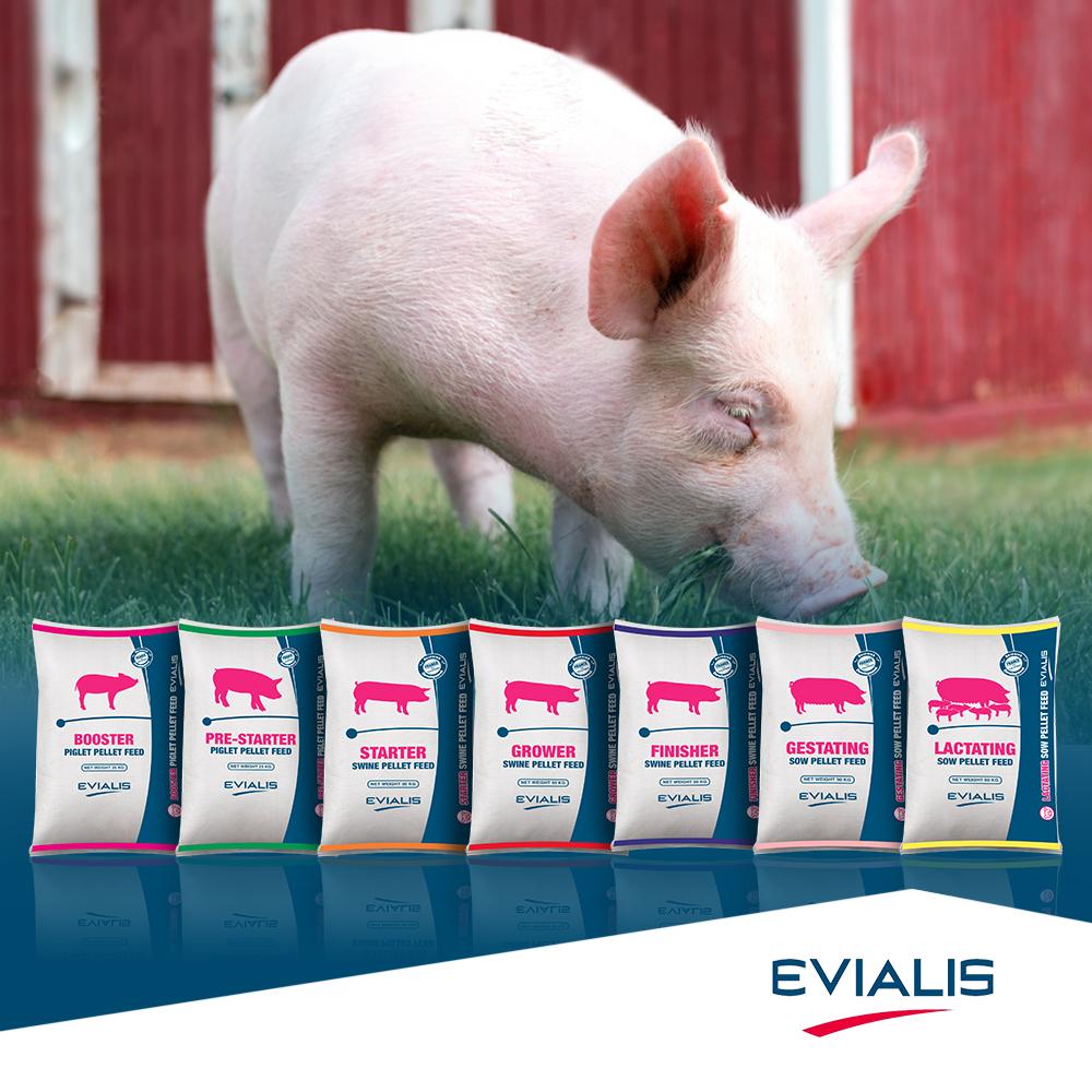 Adm Food And Pet Animal Nutrition Ta Fbdi